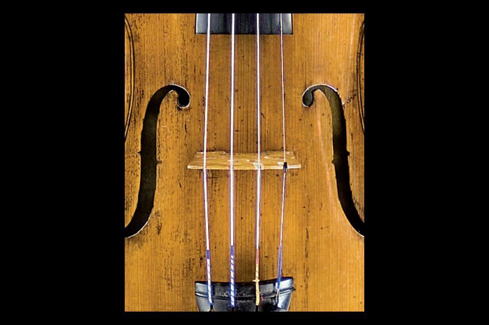 In Focus: studies of great and unusual stringed instruments | Gallery ...